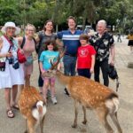 Shore Excursion: Full Day Private Nara Tour from Osaka /Kobe port - What Makes This Tour Stand Out?