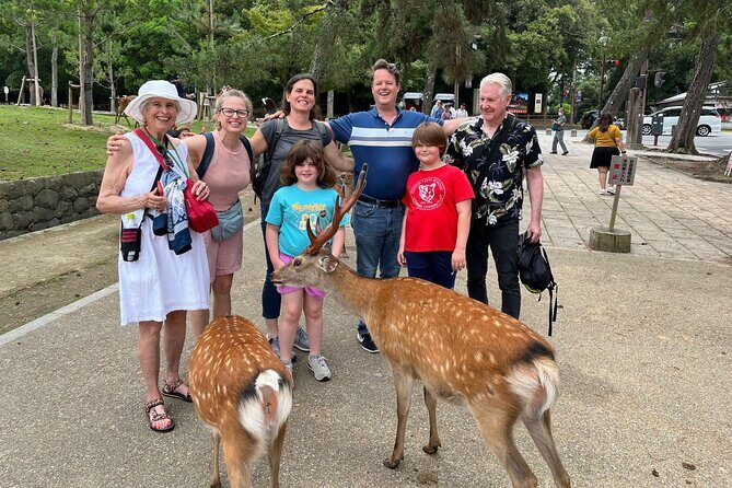Shore Excursion: Full Day Private Nara Tour from Osaka /Kobe port - What Makes This Tour Stand Out?