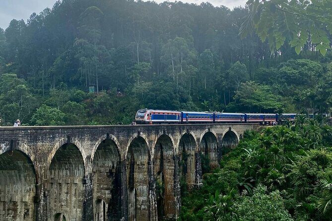 Shore Excursion Hambantota Port to Ella Day Tour (All Inclusive) - What’s Included and What’s Not