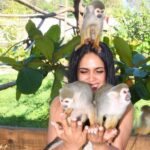 Shore Excursion Monkey Encounter and Puerto Plata City Tour - A Deep Dive into the Tour Experience