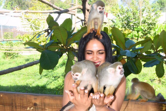 Shore Excursion Monkey Encounter and Puerto Plata City Tour - A Deep Dive into the Tour Experience