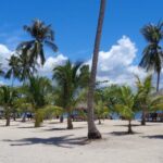 Shore excursion: Puerto Princesa Island Hopping Tour - Experience Quality & What Travelers Say