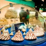 Shore Excursion - Small Group Tour Best of Phuket Highlights - The Overall Value and Experience