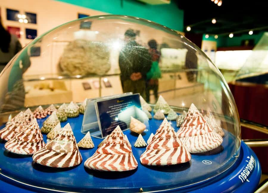 Shore Excursion - Small Group Tour Best of Phuket Highlights - The Overall Value and Experience