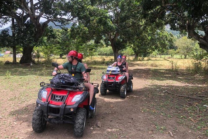 Shore Excursion: V.I.P. DayPass: ATV, Zip Lines, Horseback Riding & Lunch - The Food: A Hearty Dominican Lunch