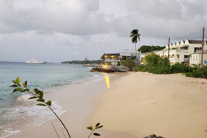 Shore Excursion - Walking Tour of Speightstown and its Museum - Who Will Love This Experience?