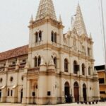 Shore Excursions from Cochin Cruise Terminal - Who Will Enjoy These Tours?