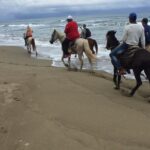 Short Excursion horseback riding tours on the beach and mountain - What Travelers Can Expect