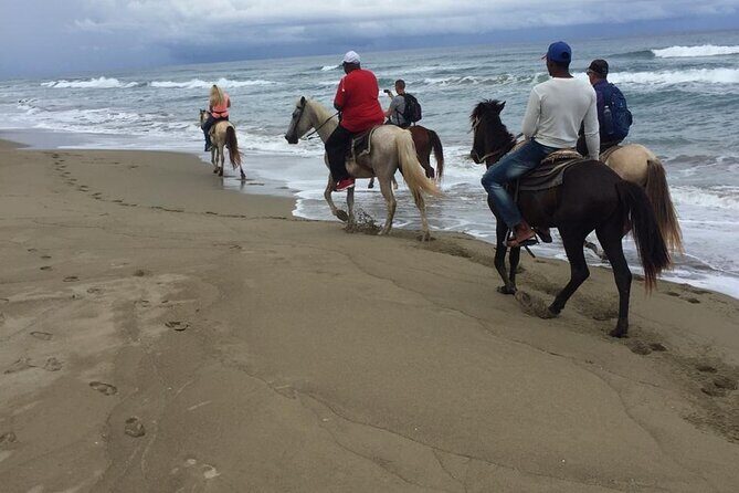 Short Excursion horseback riding tours on the beach and mountain - What Travelers Can Expect