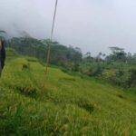 Sidemen rice terraces trek and local village walk - The Itinerary in Detail
