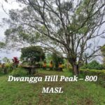 Sidemen Trekking: Dwangga Hill Hike in Sidemen (Peak 800M) - What the Reviews Say