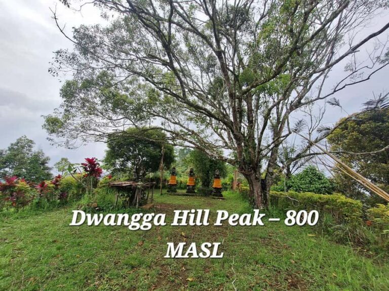 Sidemen Trekking: Dwangga Hill Hike in Sidemen (Peak 800M) - What the Reviews Say