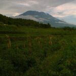 Sidemen Trekking with Cultural Encounters and Nature Views - What Does the Tour Include and Exclude?