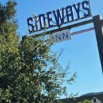 Sideways Movie Wine Trail: A Self-Guided Driving Tour - Who Will Love This Tour?