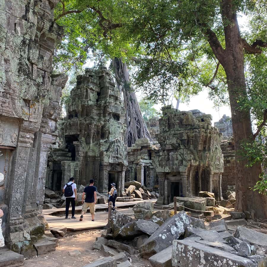 Siem Reap: 3 Top Angkor Wat, Ta Prohm & Bayon Afternoon Tour - Practical Details & Why They Matter