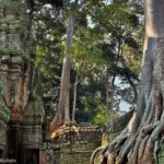 Siem Reap: 4-Day Angkor Wat and Beng Mealea Tour - Why This Tour Offers Good Value