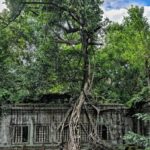 Siem Reap: Banteay Srei, Beng Mealea & Kampong Phluk Tour - Practical Details and Value