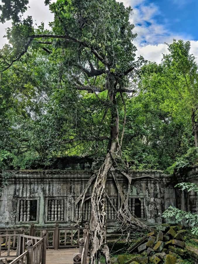 Siem Reap: Banteay Srei, Beng Mealea & Kampong Phluk Tour - Practical Details and Value