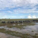 Siem Reap Countryside Bicycle Tour 4 hours - Who Will Enjoy This Tour Most?