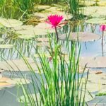 Siem Reap Countryside Bike Tour - Why This Tour Is a Good Value