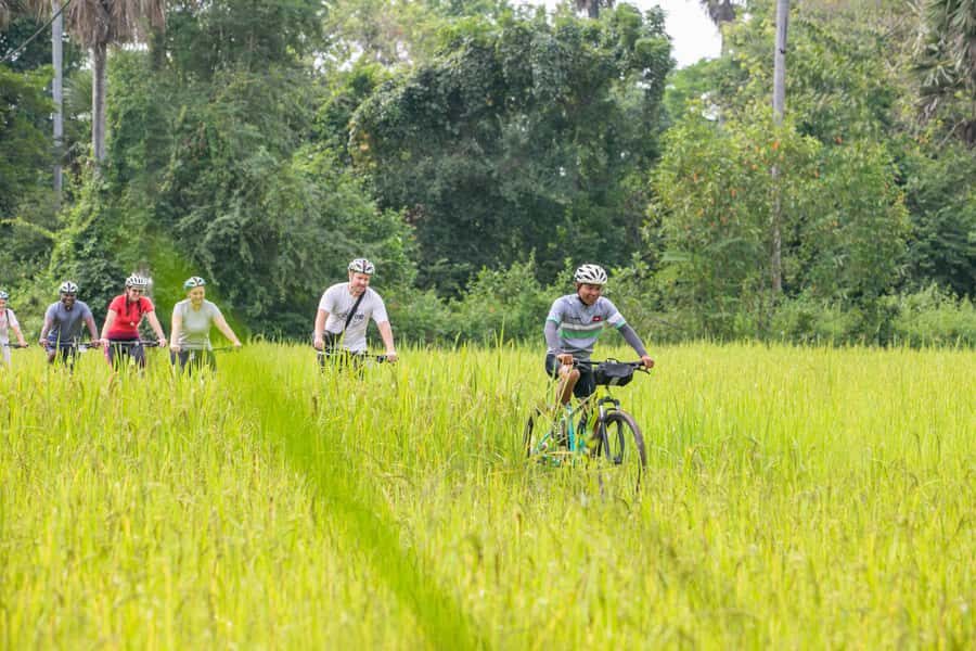 Siem Reap: Countryside Bike Tour - Farms, Temples & Snacks - The Flow and Pacing of the Tour