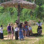 Siem Reap: Elephant Sanctuary Guided Tour - What to Expect from the Tour