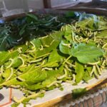 Siem Reap Jeep Tour: AMCountryside Vibes/ PMClassic Sunset - Who Should Consider This Tour?