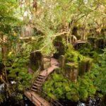 Siem Reap: Koh Ker and Beng Mealea Guided Day Trip - Why This Tour is Valuable