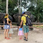 Siem Reap: Kulen Elephants & Floating Village by AC car - Is This Tour Worth It?