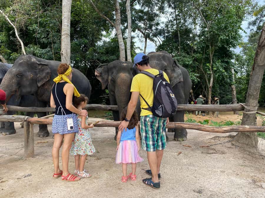 Siem Reap: Kulen Elephants & Floating Village by AC car - Is This Tour Worth It?