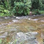 Siem Reap: Kulen Mountain Waterfall Small-group Tour - Introduction to the Tour