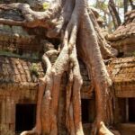 Siem Reap: Private 4-Day Angkor Wat and Phnom Kulen Tour - What Makes This Tour Stand Out