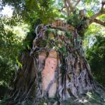 Siem Reap: Sambor Prei Kuk & Preah Kan Kampong Svay Tour - Why This Tour Offers Real Value