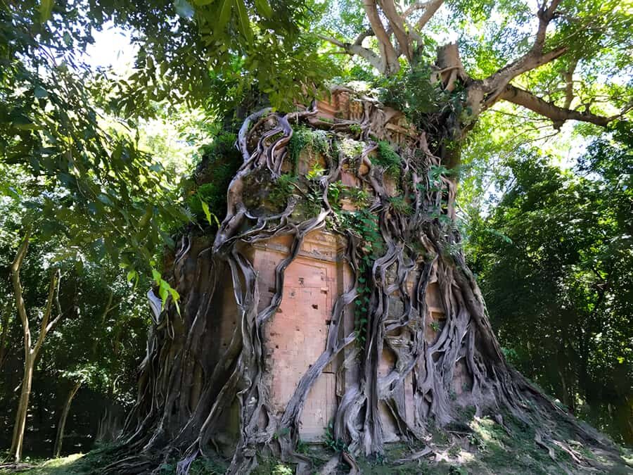 Siem Reap: Sambor Prei Kuk & Preah Kan Kampong Svay Tour - Why This Tour Offers Real Value