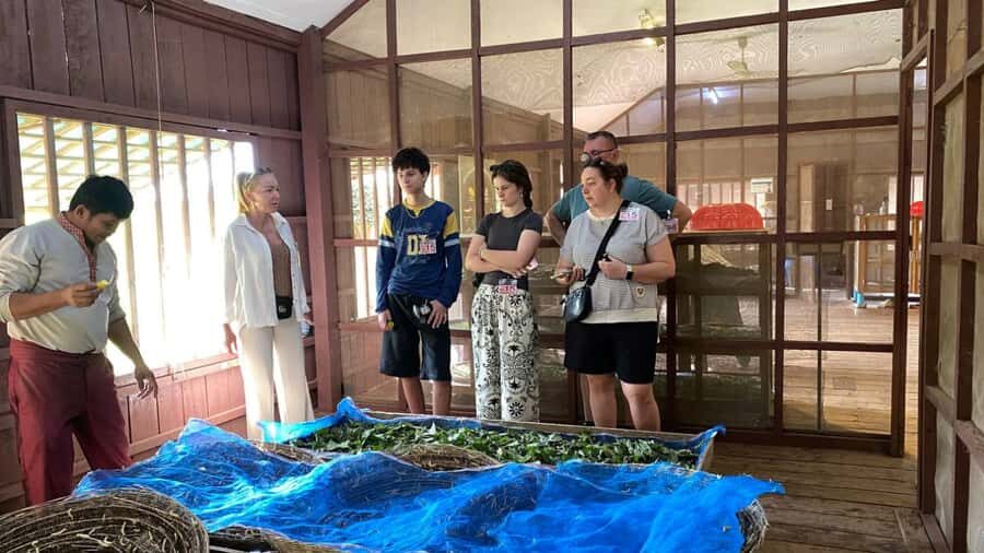 Siem Reap: Silk Farm, Handicraft Center, & War Museum Tour - Additional Sites and Walking Stops