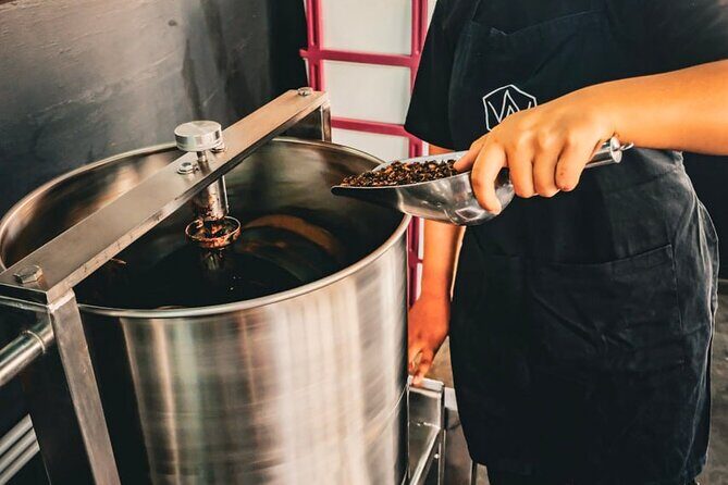 Siem Reap Visit to Cambodias first chocolate factory - Authenticity and Value