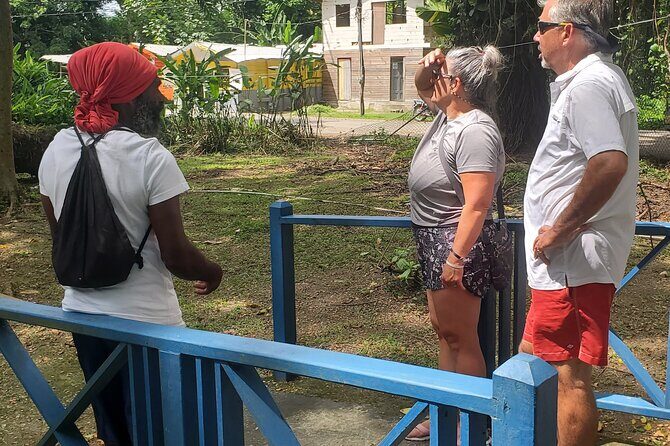 Sight seeing tour through the hills of JAMAICA - Who Will Love This Tour?