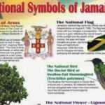 Sightseeing Tour in Ocho Rios - What to Expect: Comfort, Timing, and Flexibility