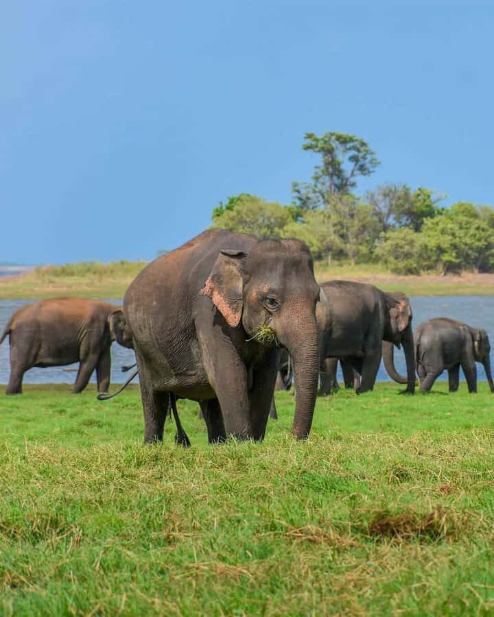 Sigiriya: Countryside Jeep Tour with Viewpoints & Villages - Deep Dive into the Itinerary