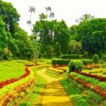 Sigiriya, Dambulla, Safari and Kandy in 3 days - Final Thoughts