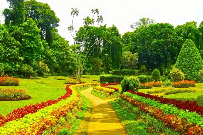 Sigiriya, Dambulla, Safari and Kandy in 3 days - Final Thoughts