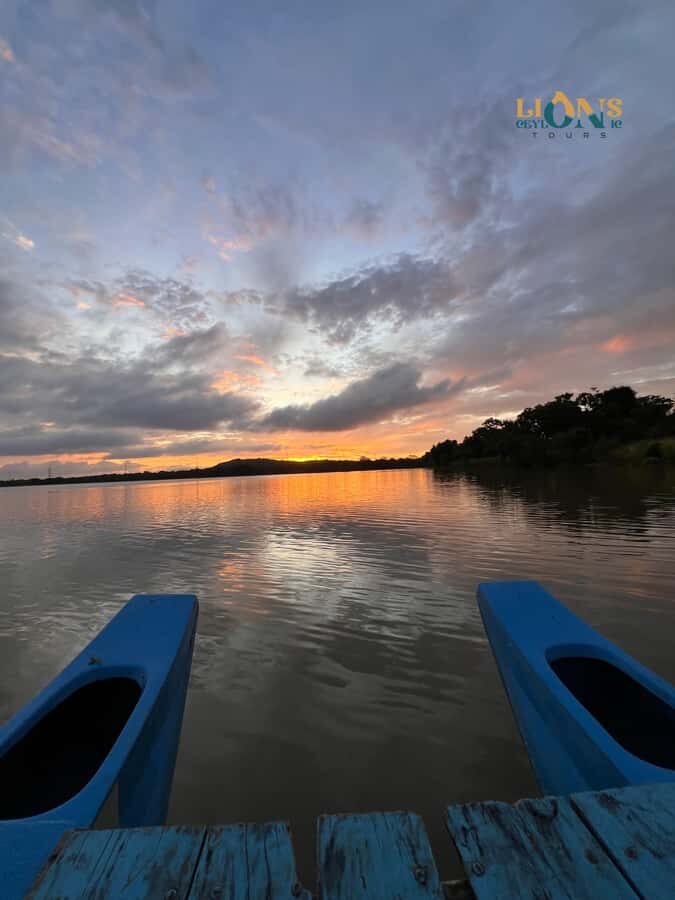 Sigiriya: Habarana Lake Boat Safari & Wildlife Experience - How Does It Compare in Value and Experience?