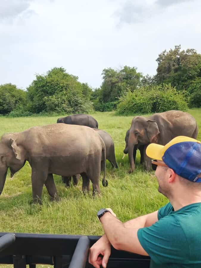 Sigiriya: Hidden Gems Tuk-Tuk Tour with Hotel Pickup - FAQs About the Sigiriya Hidden Gems Tuk-Tuk Tour