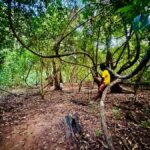 Sigiriya: Jungle Tour with Birdwatching and Wildlife - What to Expect on the Tour