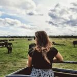 Sigiriya: Kaudulla National Park Safari & Village Tour - Who Is This Tour Best For?