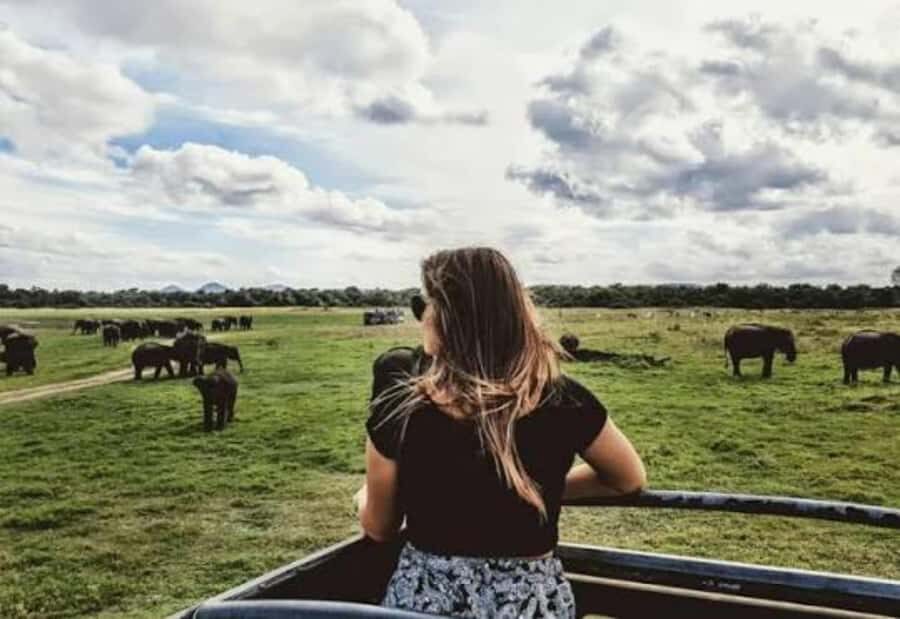 Sigiriya: Kaudulla National Park Safari & Village Tour - Who Is This Tour Best For?