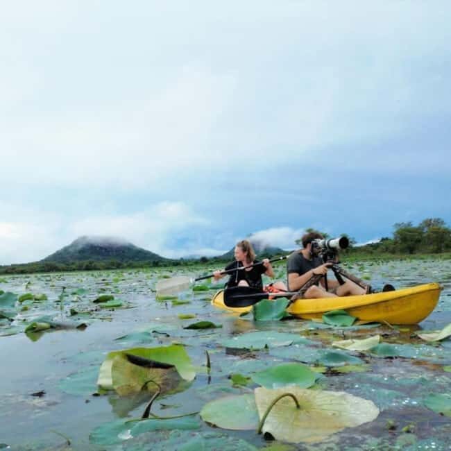 Sigiriya: Sunrise or Sunset Kayaking Tour - Who Will Love This Experience?