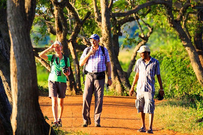 Sigiriya Village Tour from Habarana - Transport and Timing: Making It Work