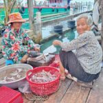 Sihanoukville Sightseeing: Shore Excursion with Lunch - Visiting the Hilltop Pagodas: Wat Leu and Wat Krom