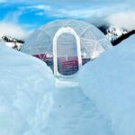 Silvaras Winter Igloo Wine Experience - Final Thoughts: Is It Worth It?